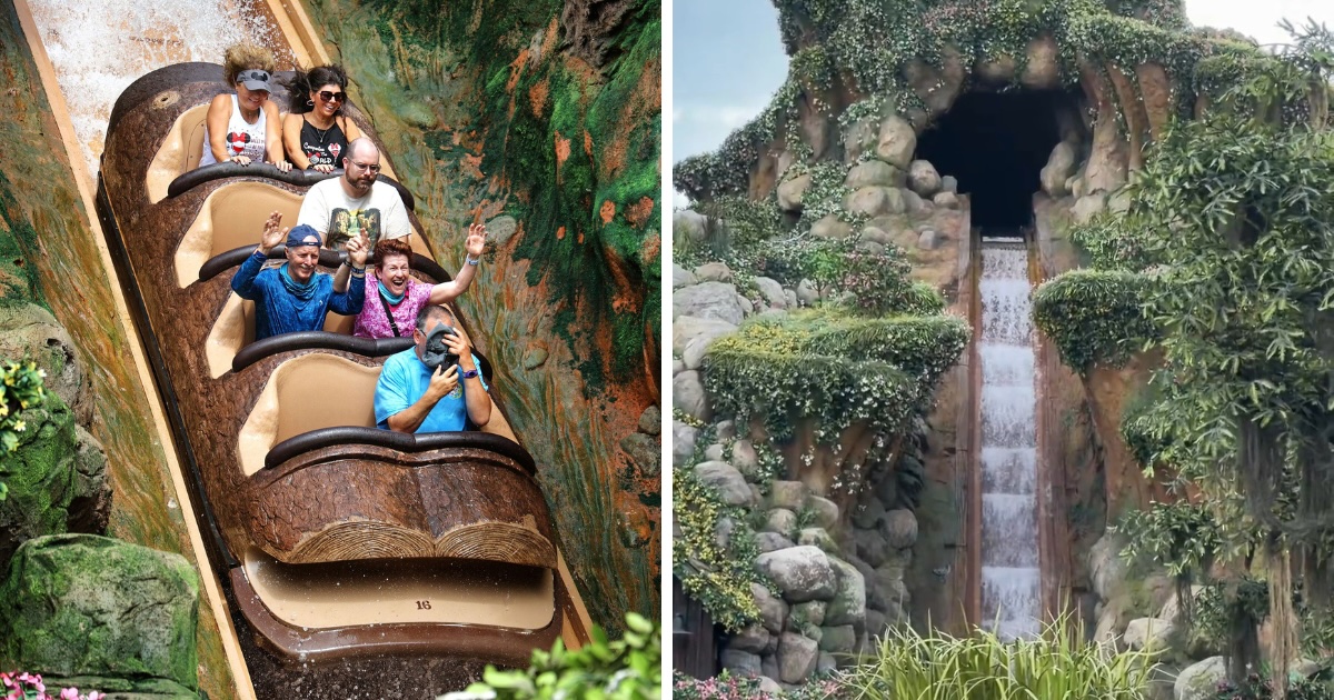 13-year-old falls 50 feet down Disneyland log flume ride