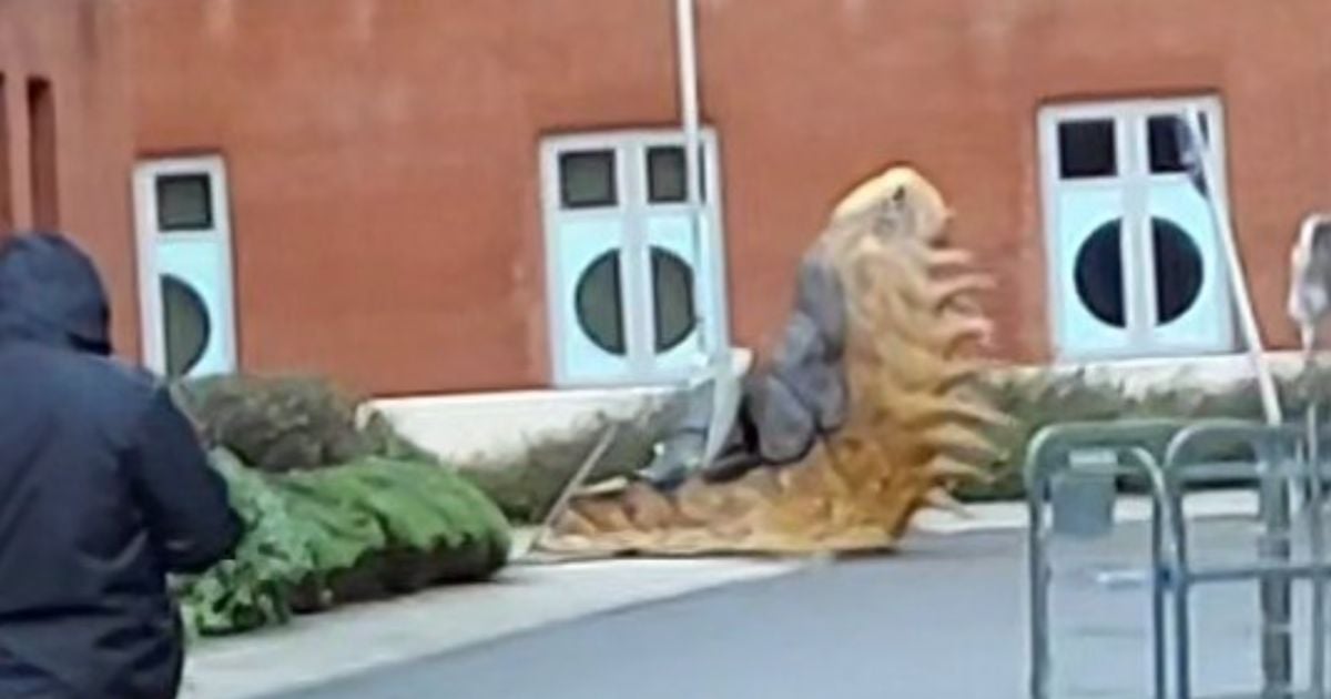Giant 'slug' seen crawling across Swansea Uni campus as Doctor Who ...
