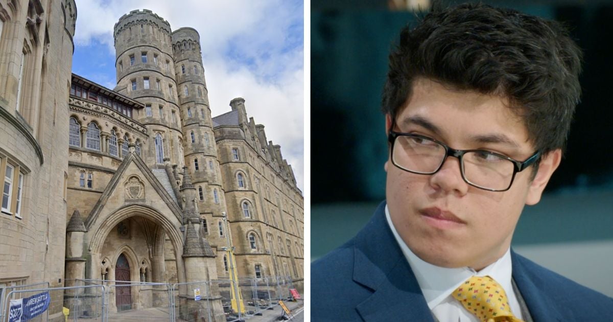 He didn't impress Lord Sugar, but here's what The Apprentice's Gregory ...