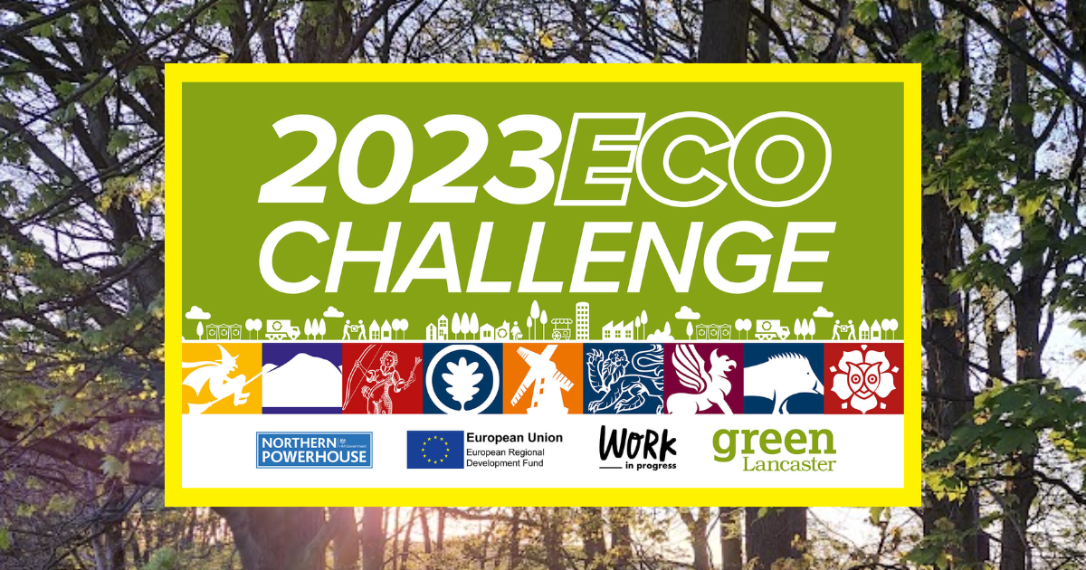 2023 ECOChallenge: What happened?