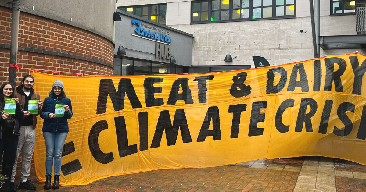 Queen Mary Students’ Union to adopt fully plant-based catering