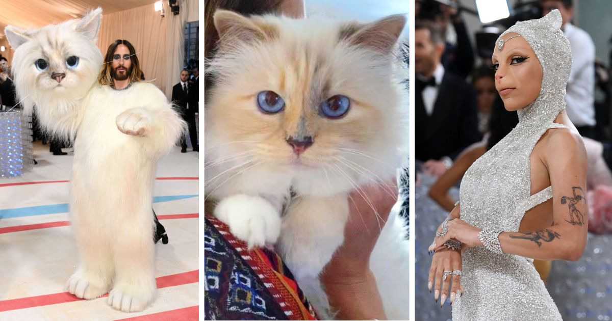 Purr, inside the wild life of Choupette: The supermodel cat behind Doja's Met Gala look