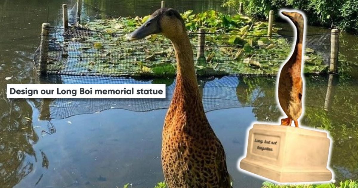 Calling all artists: Applications to design the Long Boi statue are ...