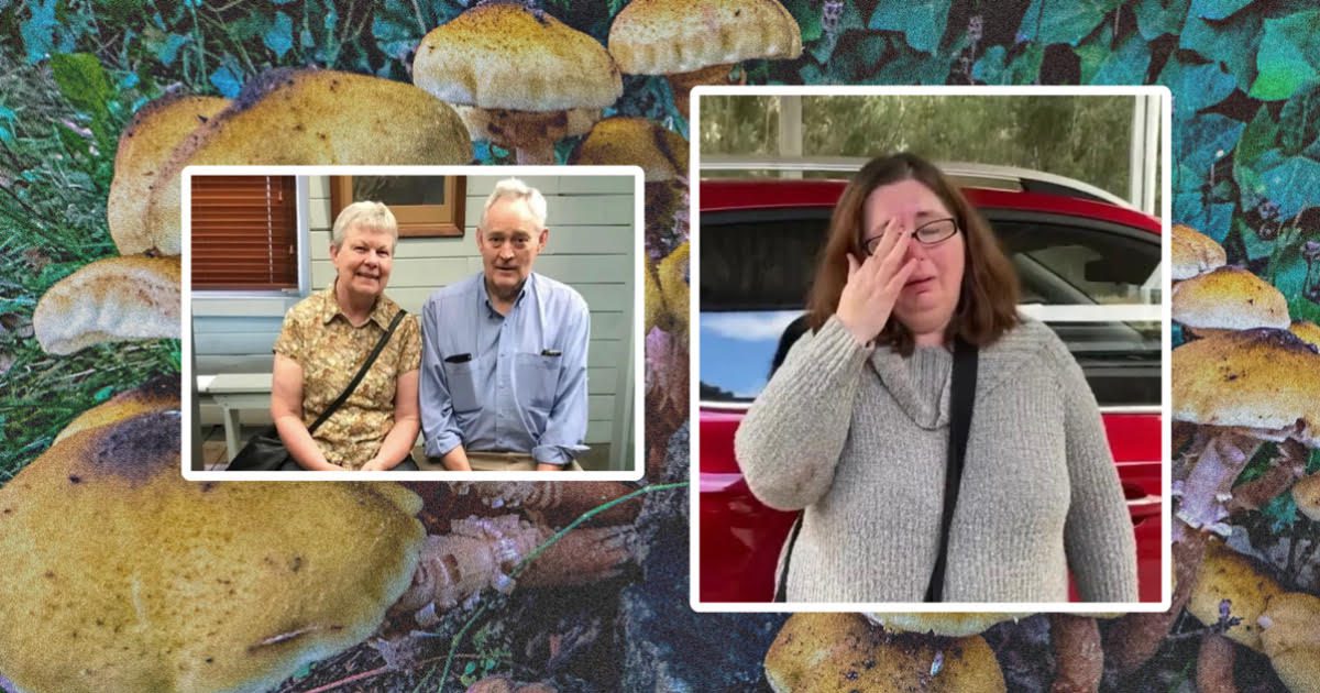 A full timeline of events for the tragic, mysterious 'mushroom murders ...