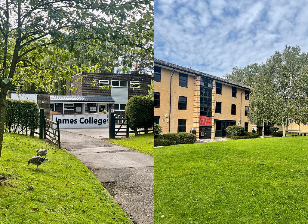 Your complete and essential guide to Uni of York's 11 colleges