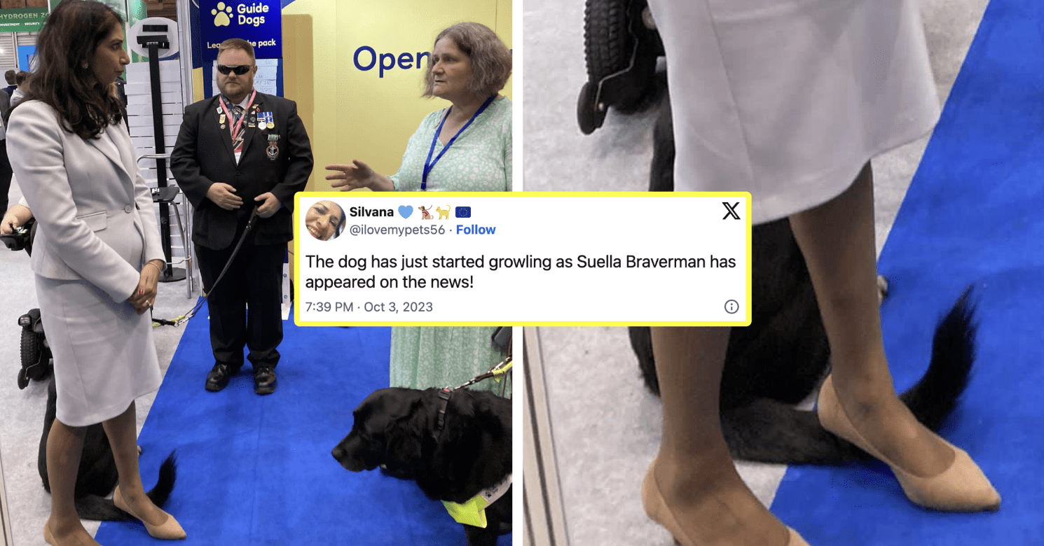 Suella Braverman stood on a dog, here are 14 memes about Suella de Vil