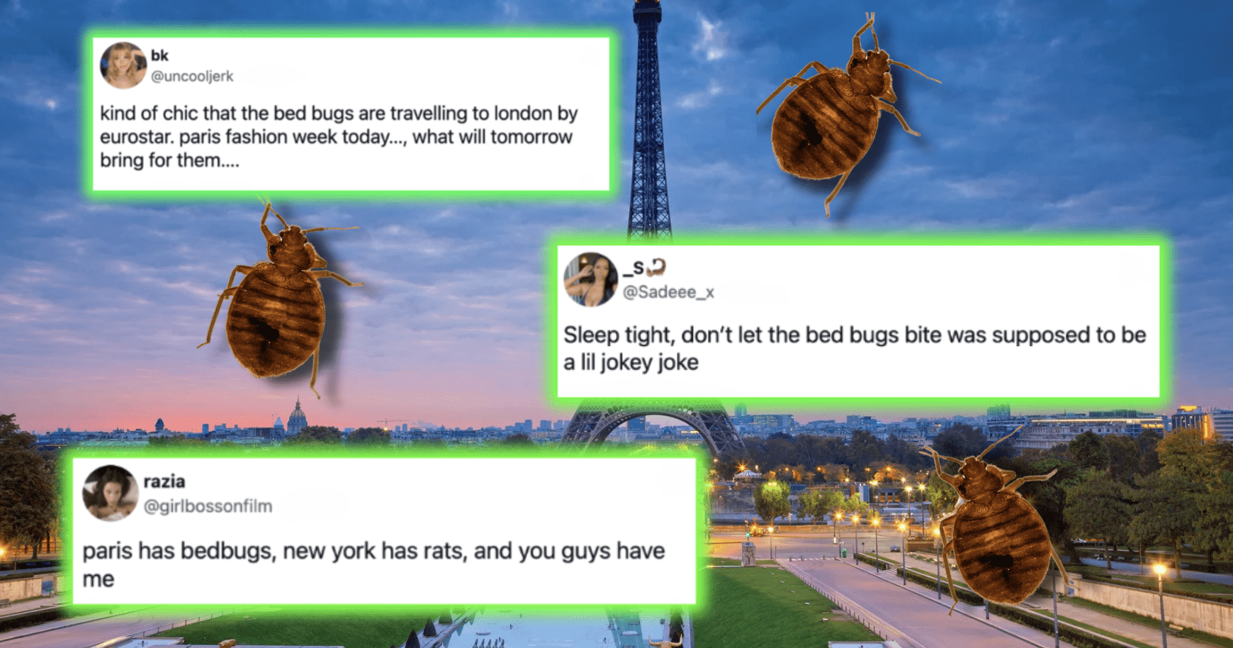 Stop your itching and enjoy these cursed bed bug memes
