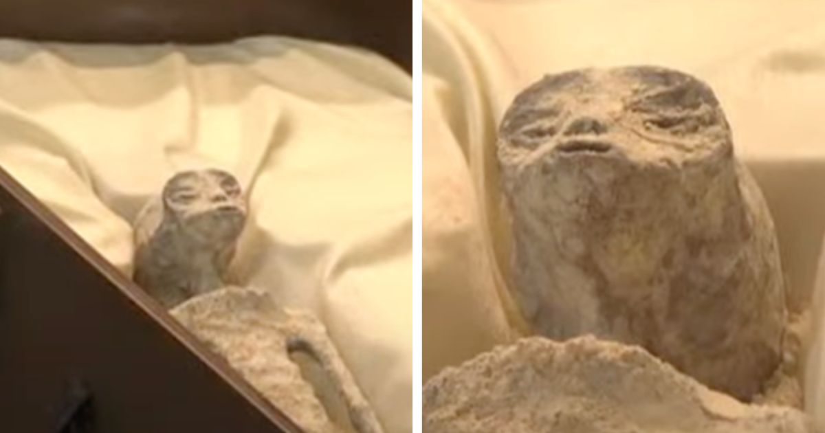 Alien corpses found on earth have 30 per cent DNA of 'unknown species'