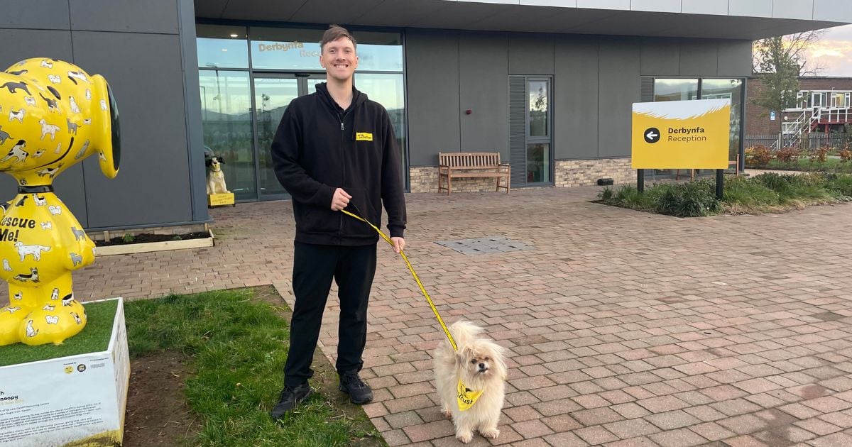 Matt Rife looked so different before and has had a big transformation