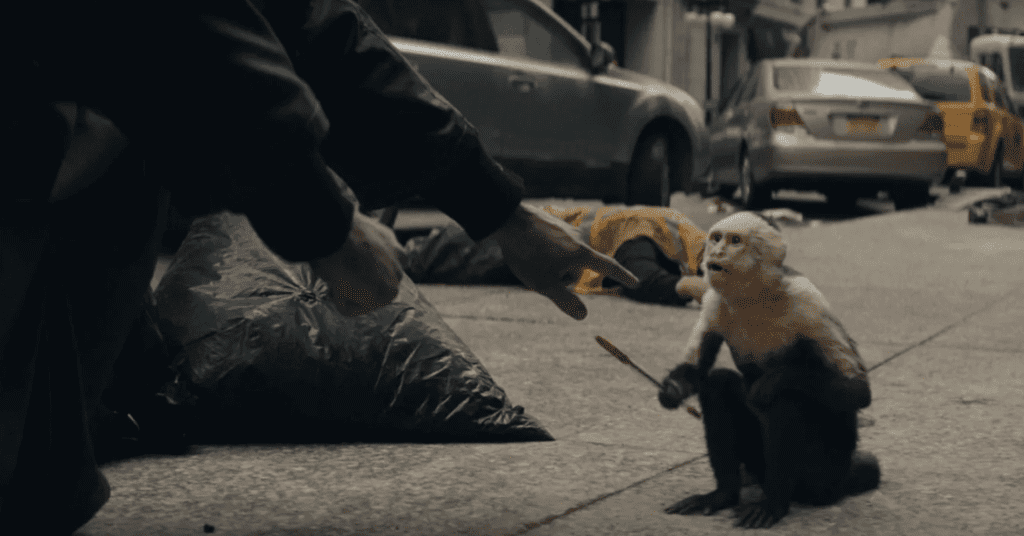 Here's what happened to Marcel the monkey from Friends