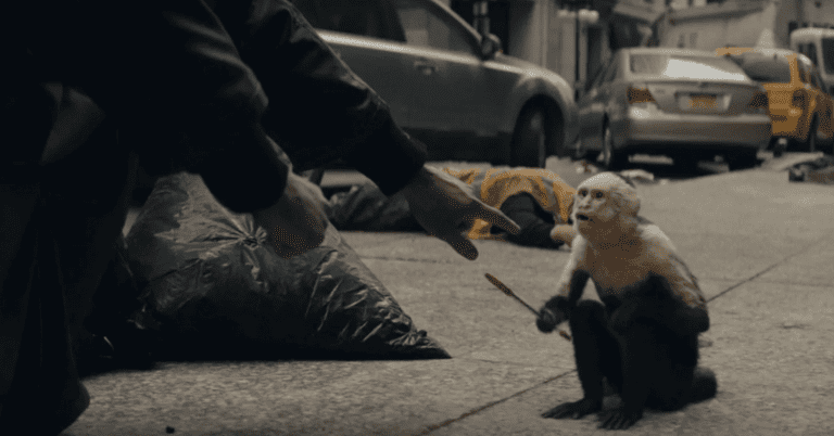 Here's what happened to Marcel the monkey from Friends