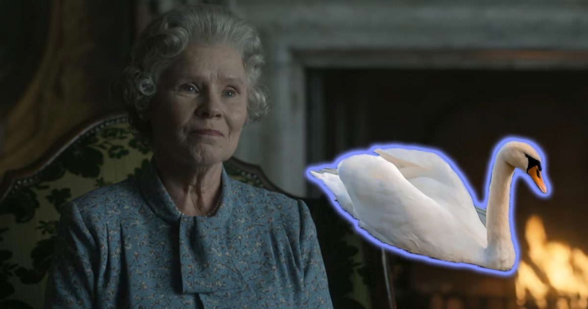 The Crown: What the deal with the royals and owning swans actually is