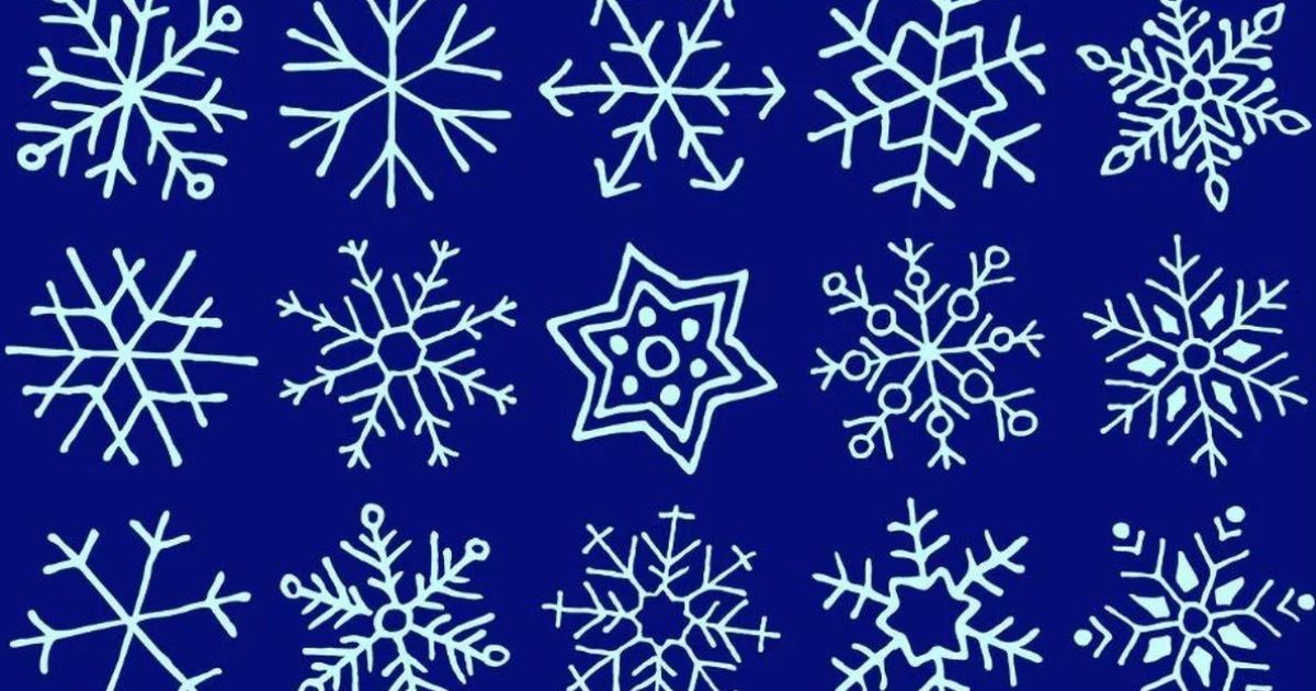 Only people with elite vision can spot these matching snowflakes in ...