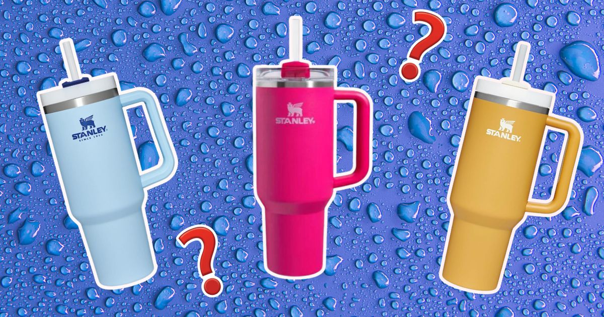 Stanley cup craze explained: Why people are going feral for them right now