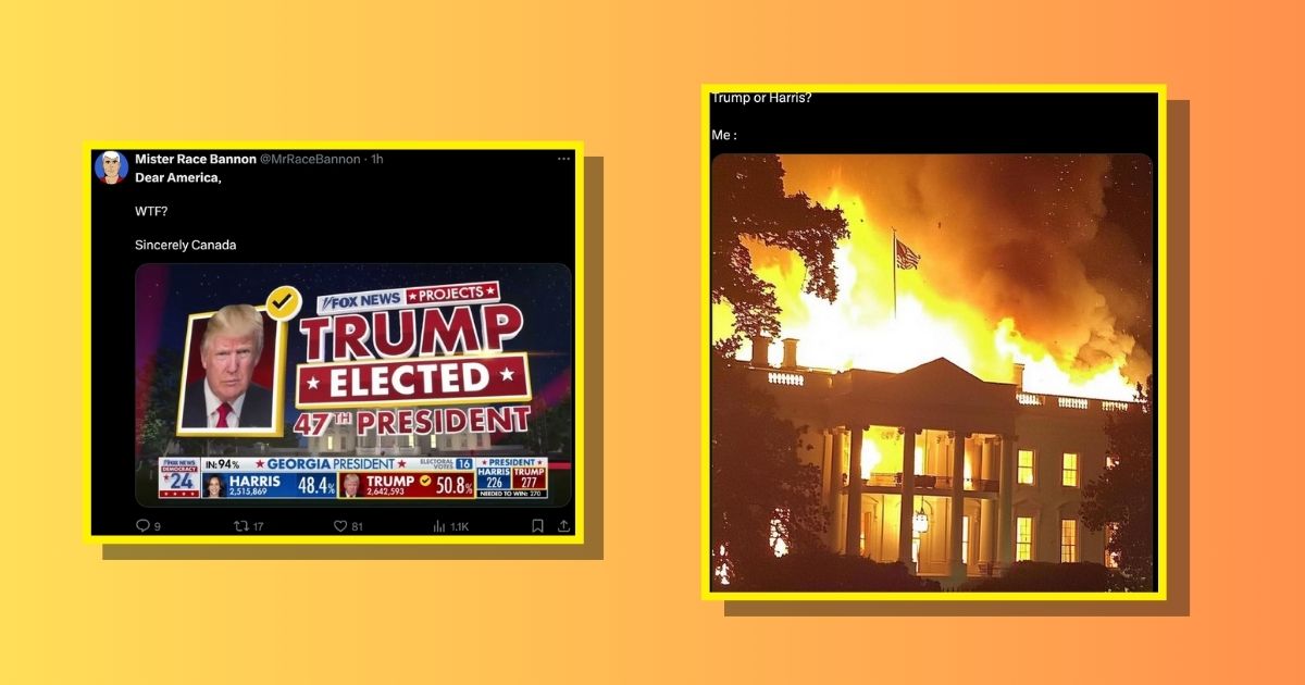 Here are the most relatable reactions that sum up the U.S. election