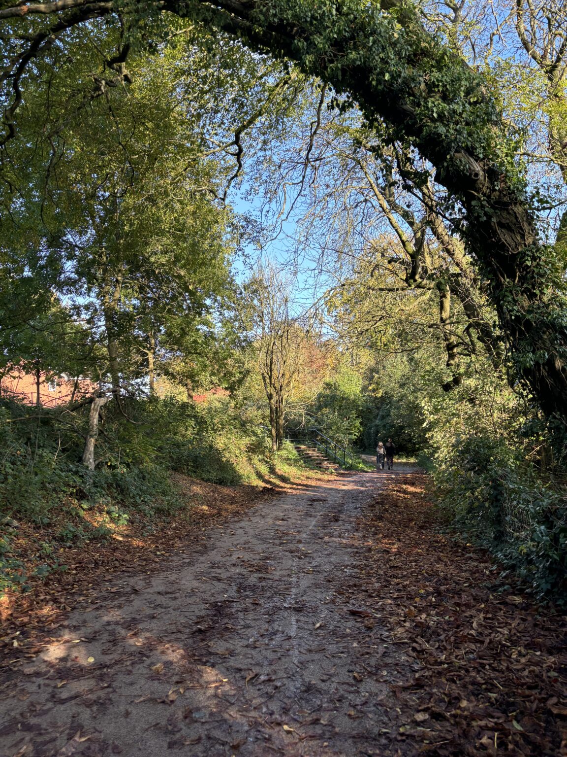 Student house hunting season: A guide to the top places to live in Bristol