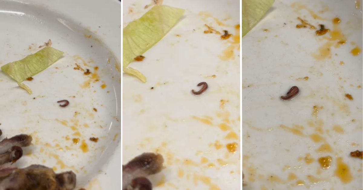 Viral clip shows live worm found in University College London catered ...