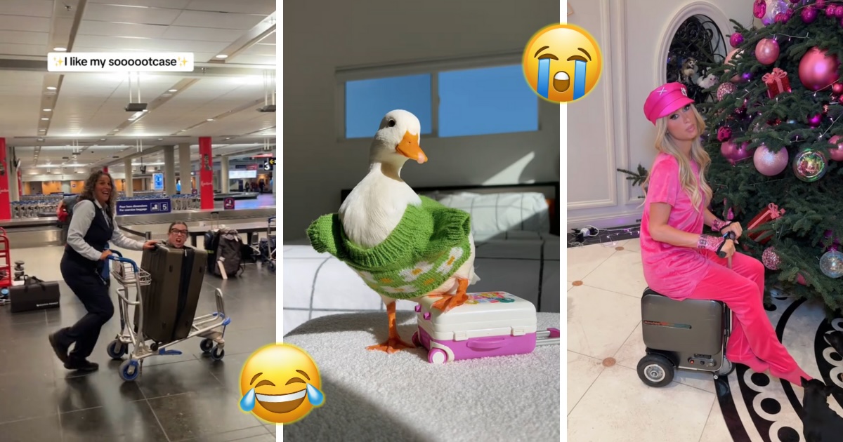 The trend is still going, so here are 10 'I like my suitcase' memes to ...