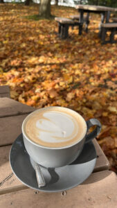 The ultimate ranking of all 11 cafes on the Uni of York campus