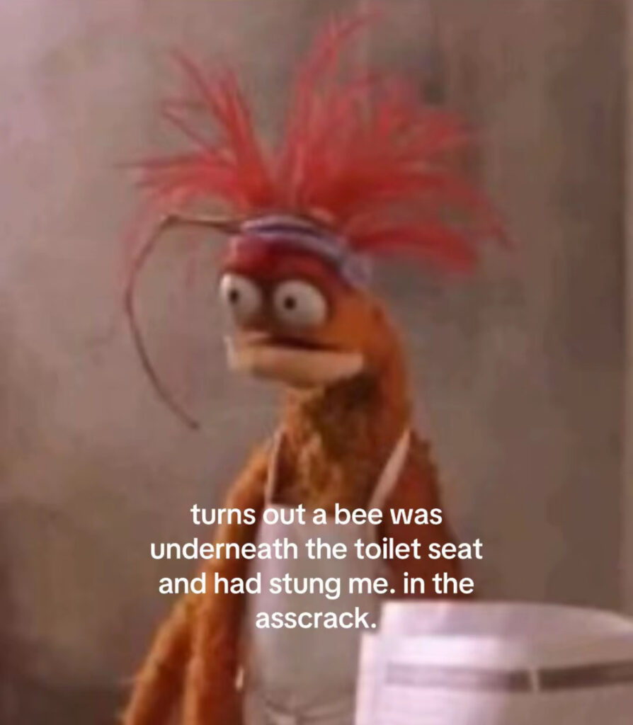 Here are the best of the TikTok Pepe king prawn meme stories