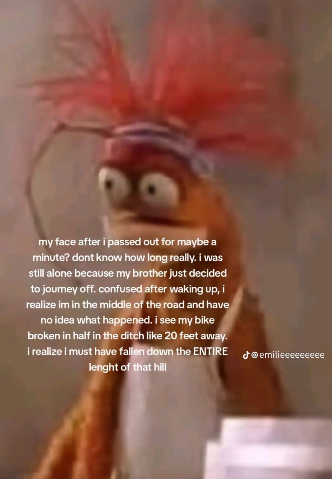 Here are the best of the TikTok Pepe king prawn meme stories
