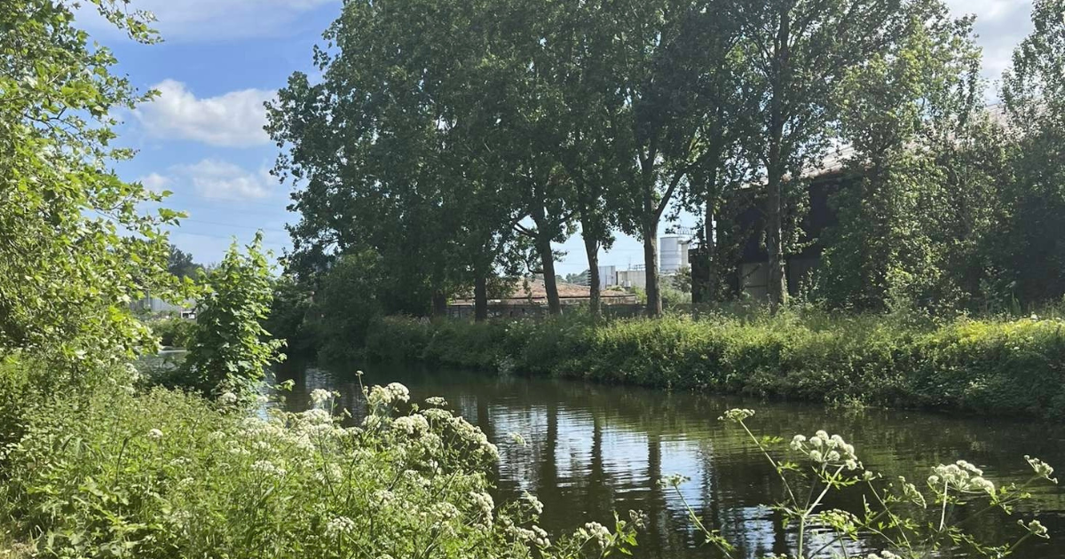 Exeter University is the most sustainable Russell Group uni, according ...