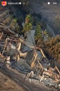 Reality TV celebrity icons whose houses burned down in LA fires