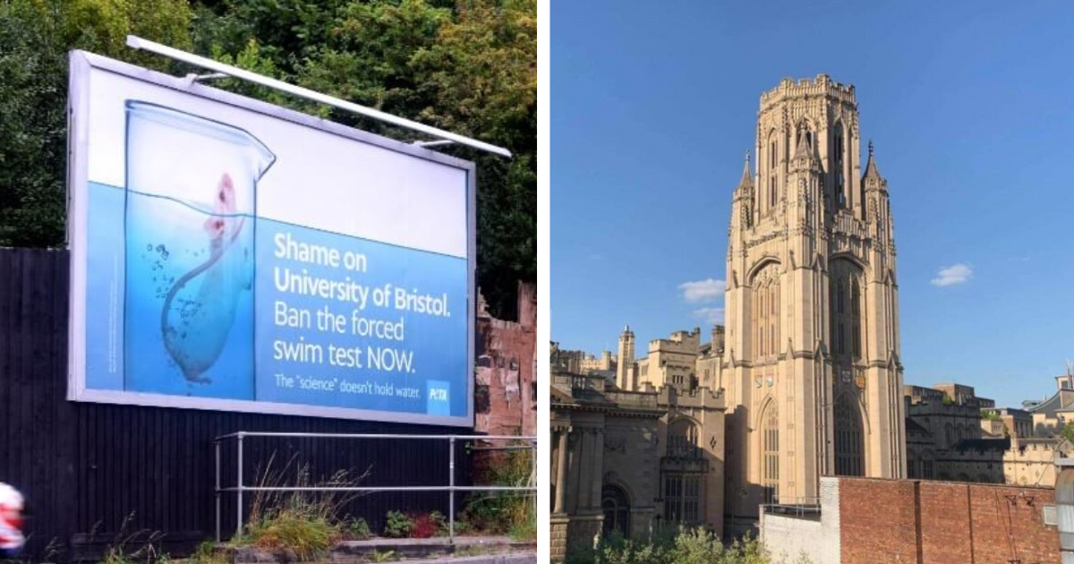 Bristol University puts an end to force swim tests after 17 years