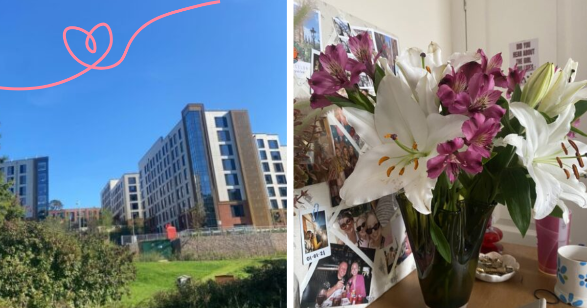 Ranking which Exeter Uni halls are the MOST lucky in love