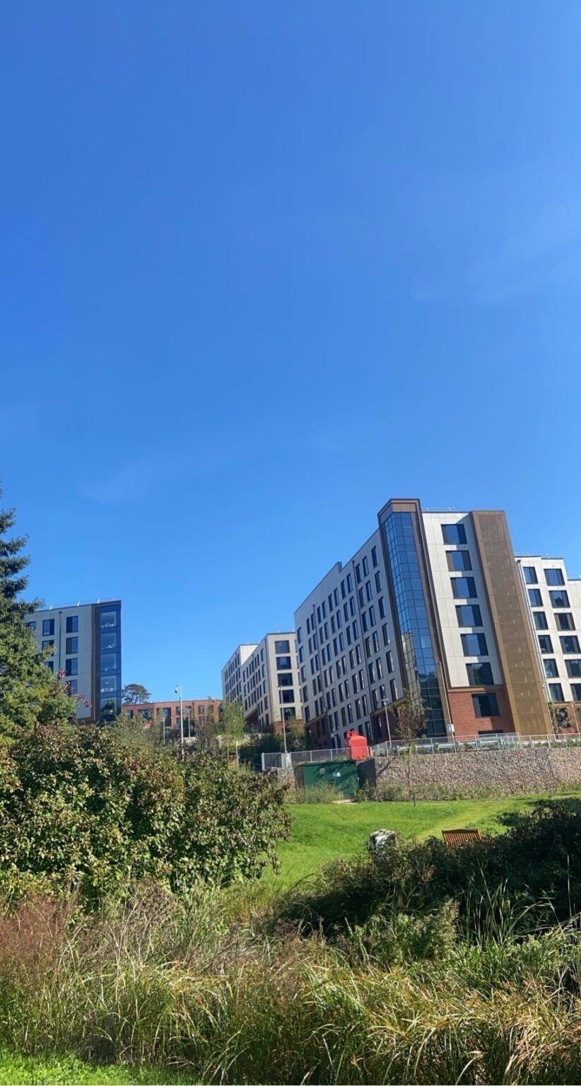 Ranking which Exeter Uni halls are the MOST lucky in love