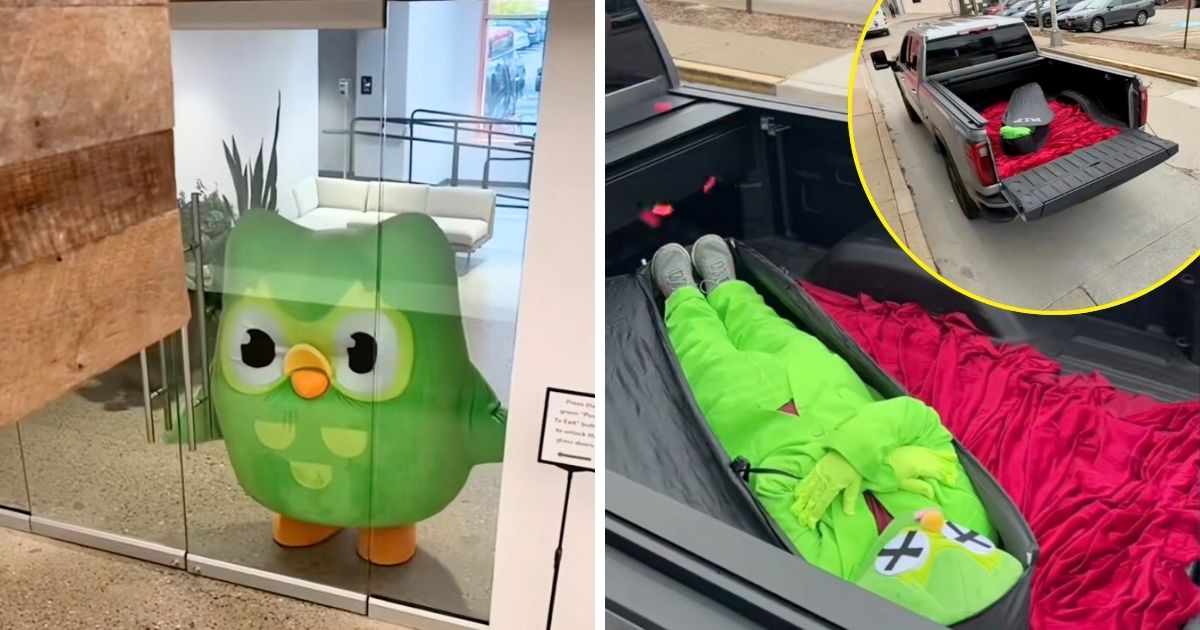 People have figured out exactly how the Duolingo owl died