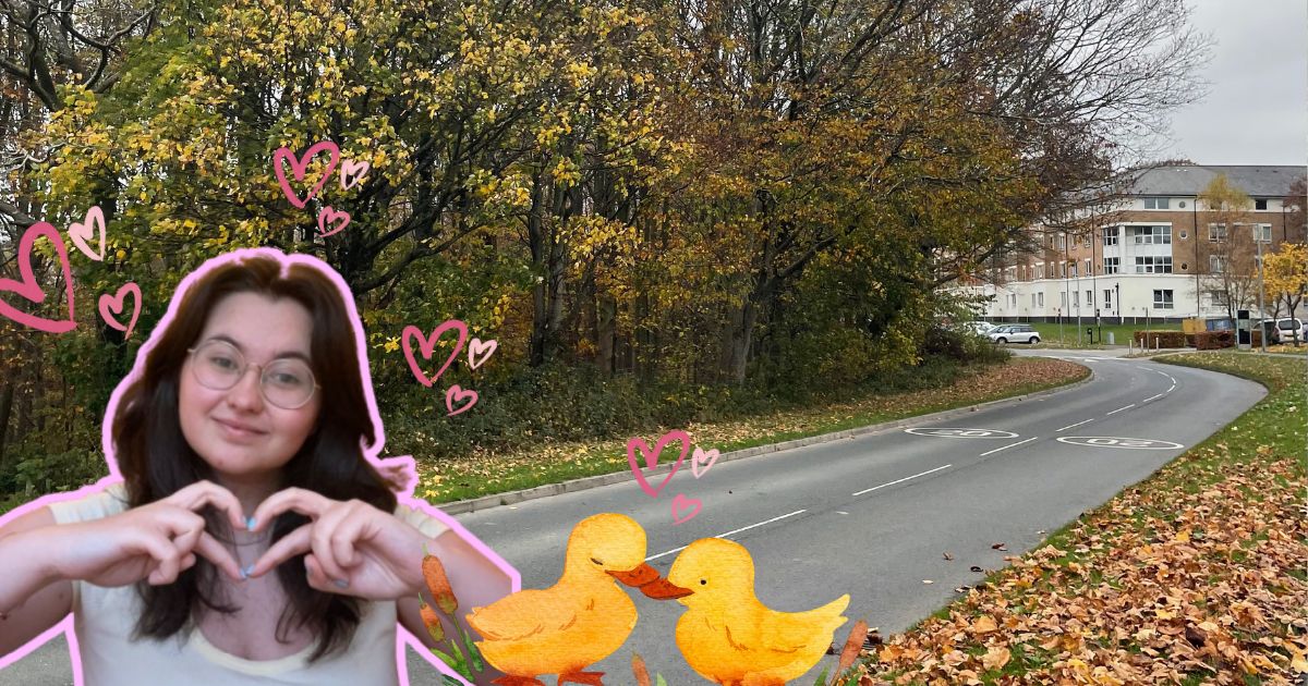 We asked students for their favourite things about Lancs are and the ...