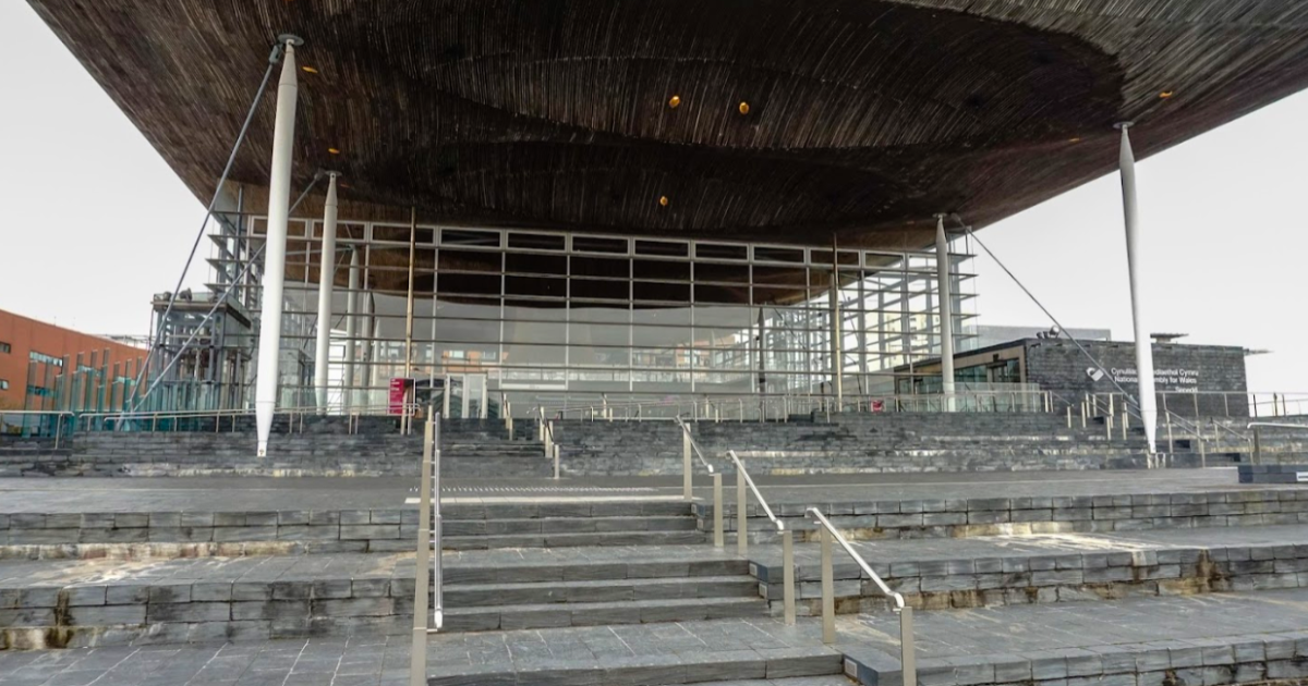 Welsh Government 'very disappointed' over Cardiff's proposed nursing ...