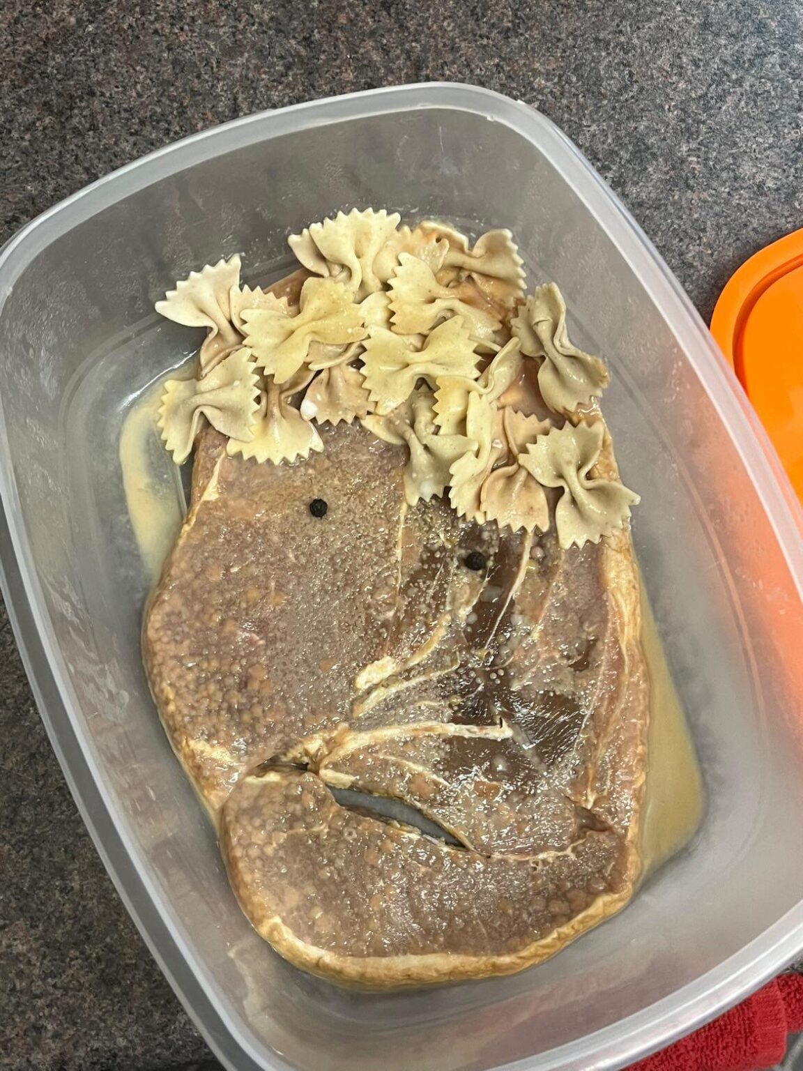 The gammon hoped to outlast the University of York's Reform Society is ...