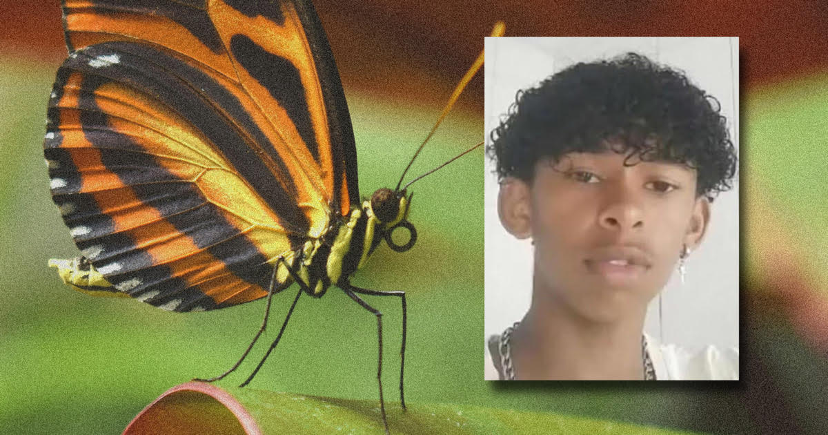 Explaining dangerous viral butterfly inject challenge trend