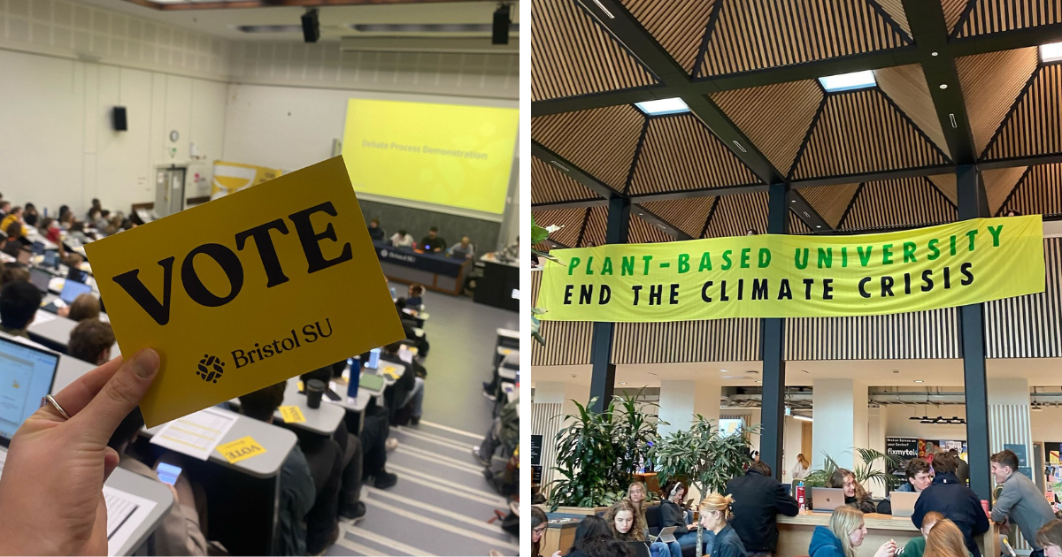 Misconceptions of a plant-based campus: Bristol Uni students share ...