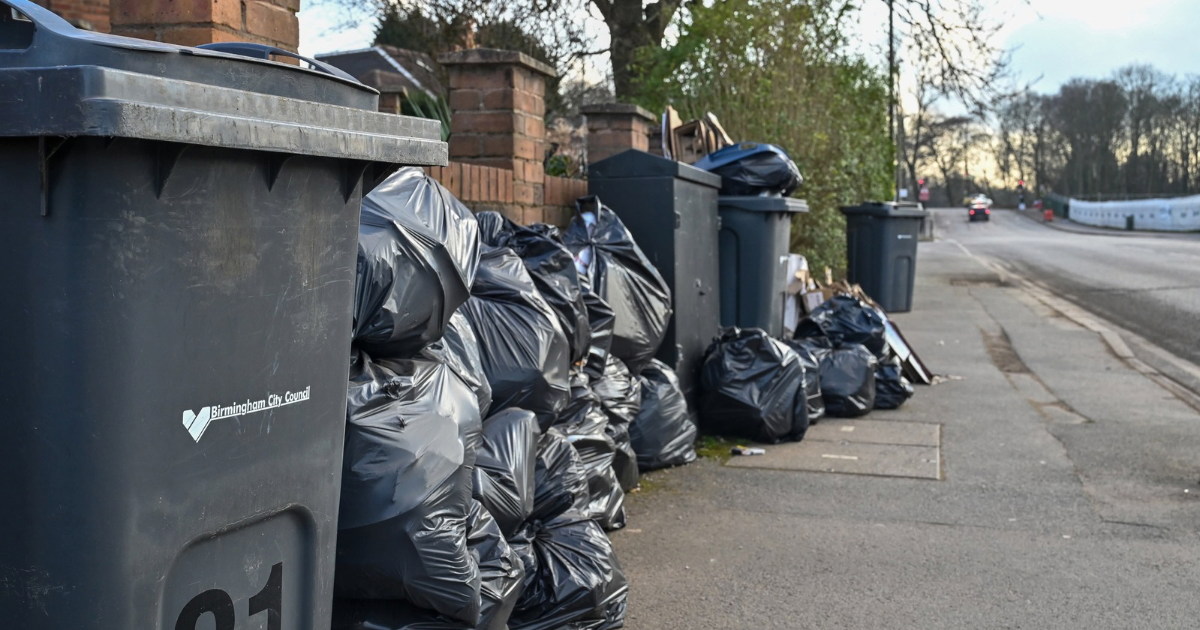 Birmingham's rat crisis: Residents urge council to address 'cat-sized ...