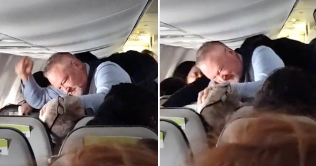 Flight attendant had to punch passenger during mid-flight fight