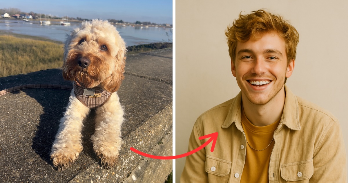 Here's how to turn your dog into a human using AI with ChatGPT