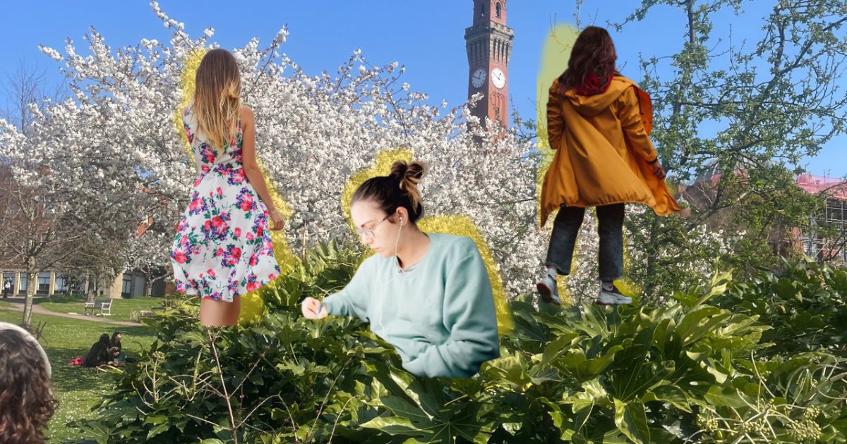 Birmingham Uni Fashion Week: Here are the fits you’re bound to see on ...