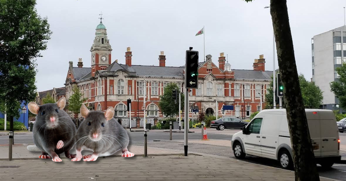 Swansea revealed to be one of the UK cities where residents are most ...