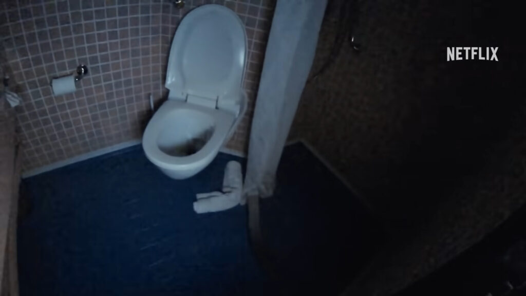 Netflix has graphic doc about chaotic 'poop cruise' disaster coming
