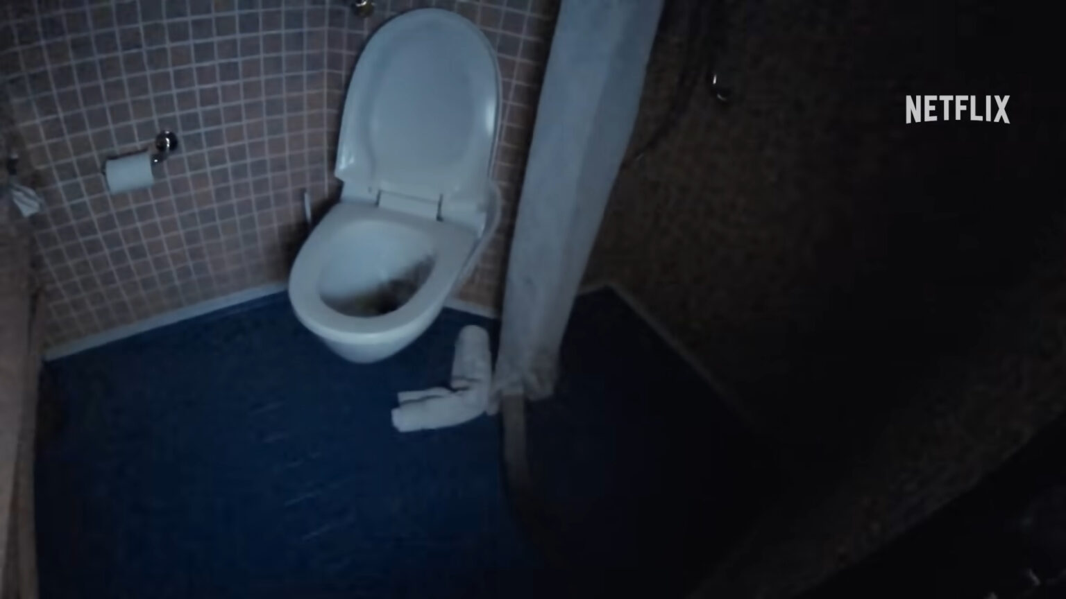 Netflix has graphic doc about chaotic 'poop cruise' disaster coming
