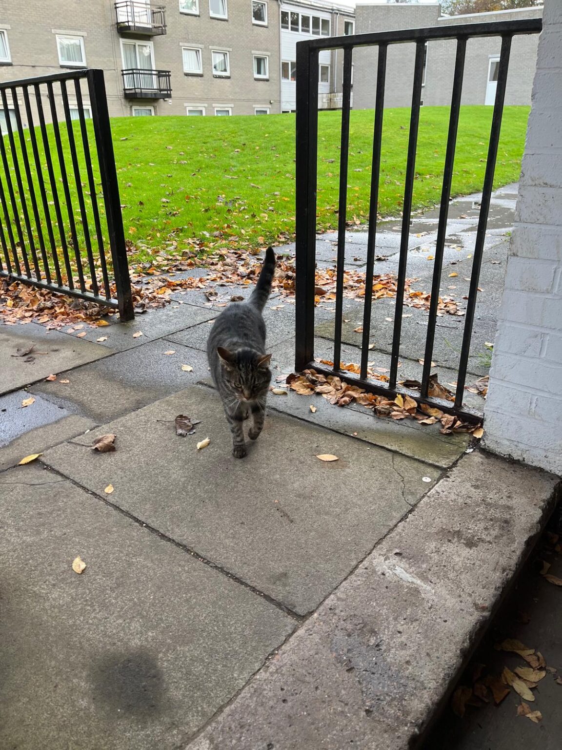 A comprehensive guide to Glasgow University's most popular halls