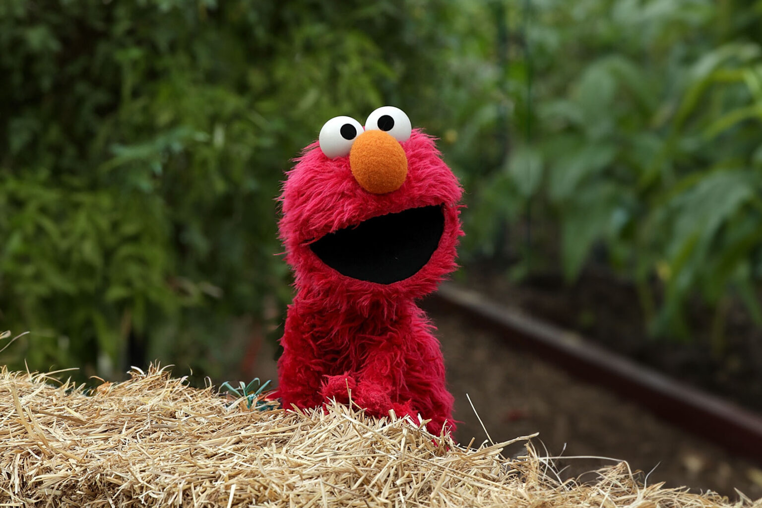Elmo posts offensive tweets after allegedly being hacked