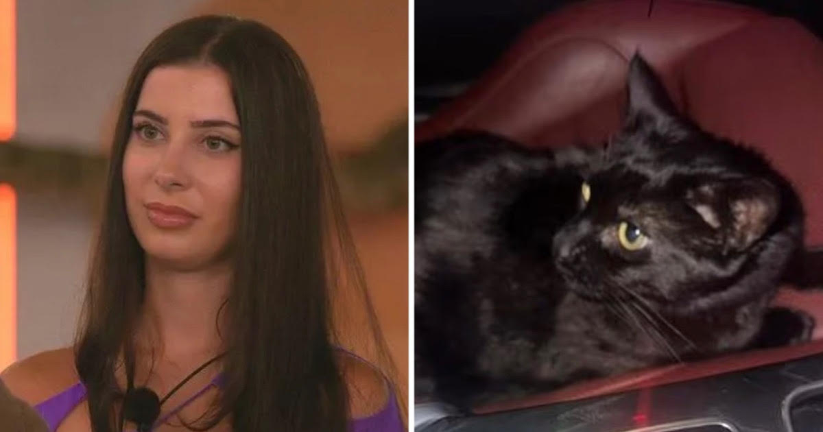 Yasmin Pettet says her cat died when she was filming Love Island