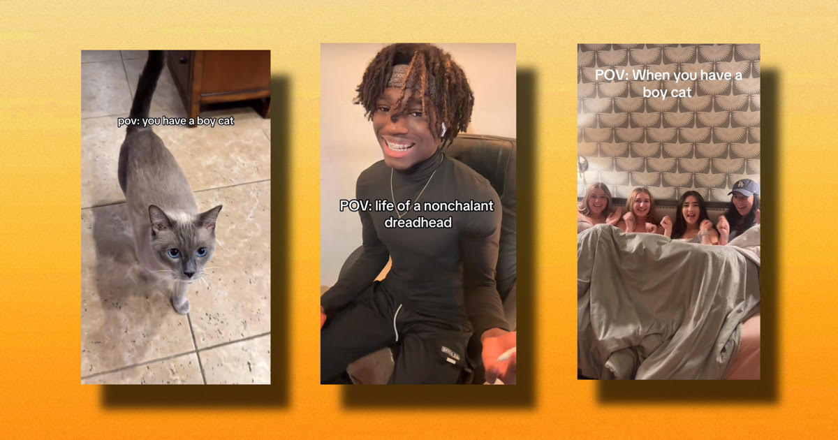 The origins of the viral TikTok shake your dreads sound