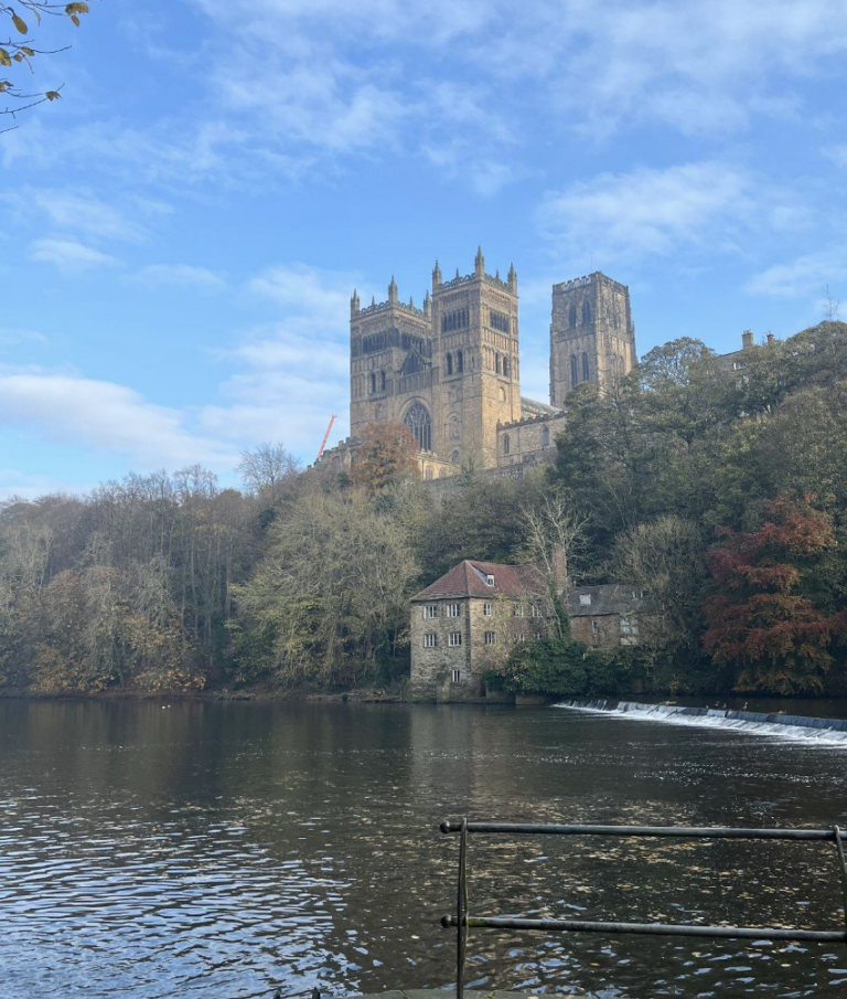 Russell Group unis that went down in the World University Rankings