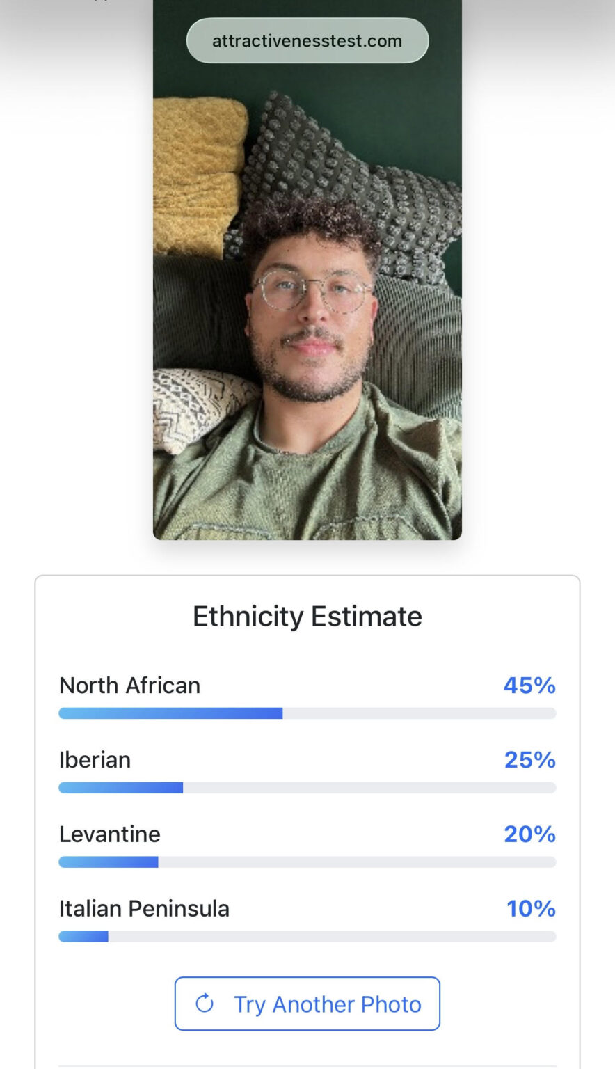 How to get AI to guess ethnicity and rates your attractiveness