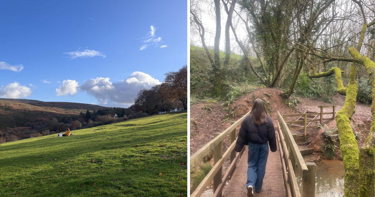 Deadlines got you down? Cheer yourself up with one of these relaxing ...